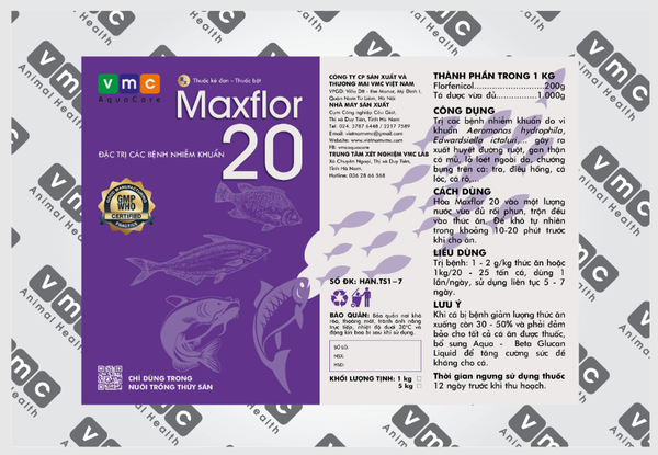 MAXFLOR 20 VIETNAMVMC
