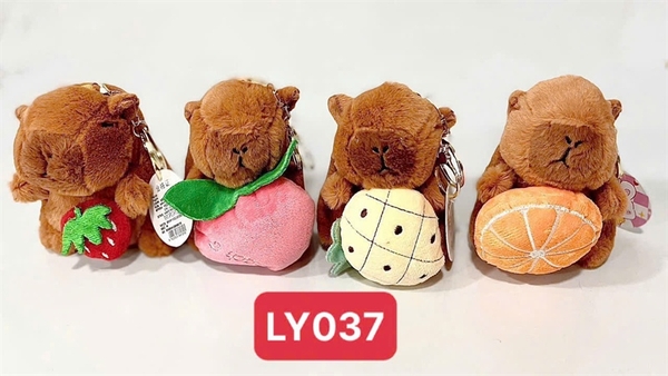 LY037 CAPPY RÚT BỤNG HOA QUẢ