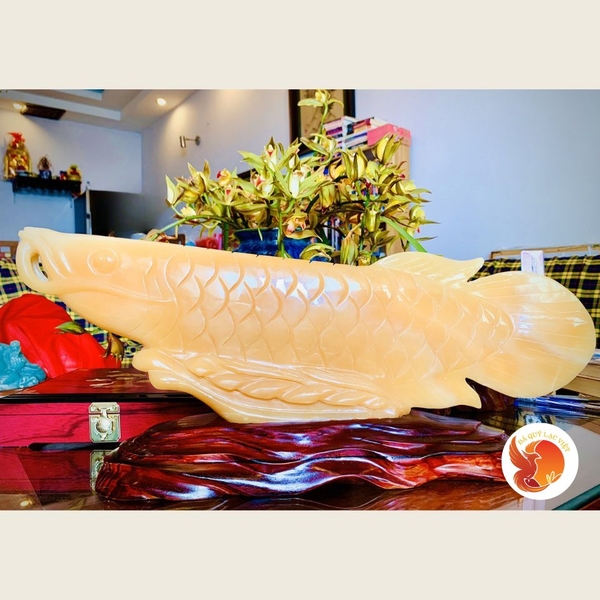 Cá Rồng Ngọc Hoàng Long