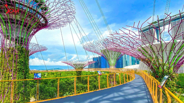 TOUR SINGAPORE - QUỐC ĐẢO SỬ TỬ BIỂN 4 NGÀY 3 ĐÊM