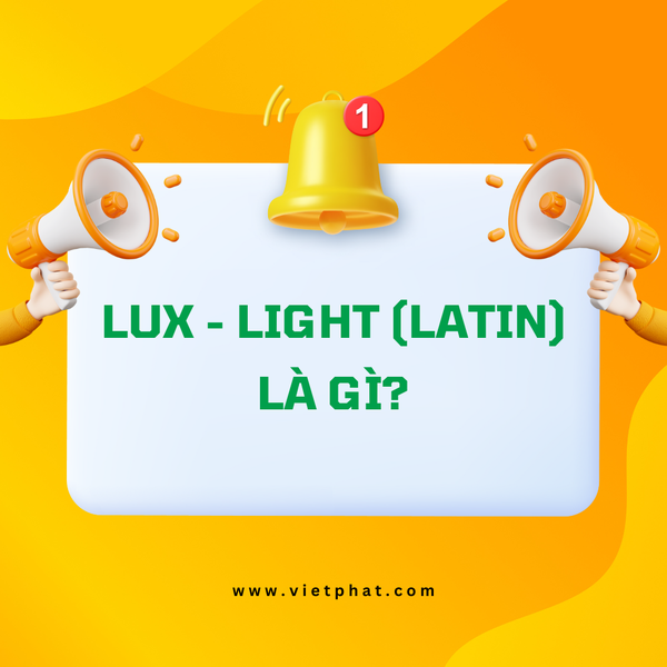 LUX Light Latin là gì I CÔNG TY CP KỸ THUẬT VIỆT PHTAS