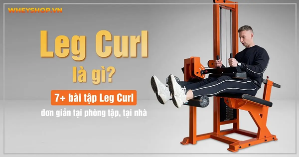 Leg Curl là gì? Hướng dẫn 7+ bài tập Leg Curl hiệu quả nhất