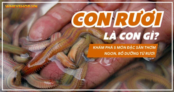 Con rươi là con gì? Khám phá 5 món đặc sản thơm ngon từ rươi