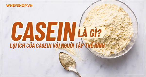 Casein là gì? Lợi ích của Casein với người tập thể hình