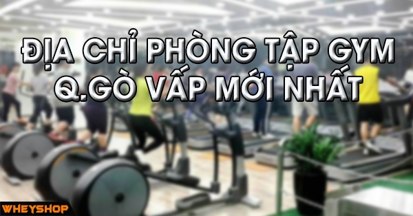 Tổng hợp địa chỉ phòng gym quận Gò Vấp - Cập nhật mới nhất