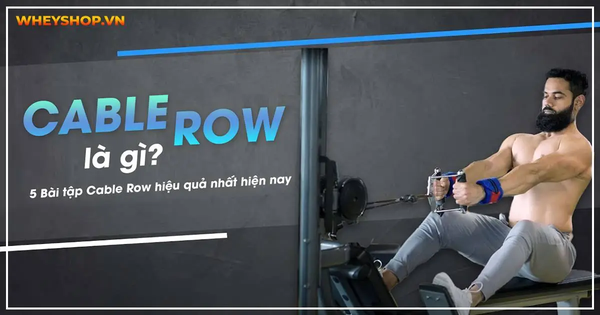 Cable Row là gì ? 5 Bài tập Cable Row hiệu quả nhất hiện nay