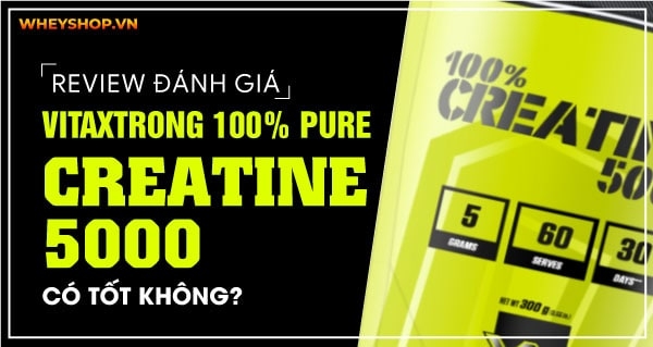 Đánh giá VitaXtrong 100% Pure Creatine 5000 có tốt không?