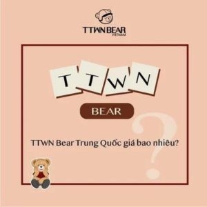 Thương Hiệu TTWN Bear Của Nước Nào Sản Xuất?