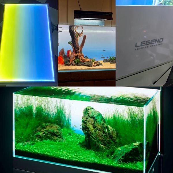 Sản Phẩm Light Screen