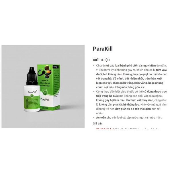 Parakill chuyện trị nấm trắng và ký sinh trùng cho cá cảnh