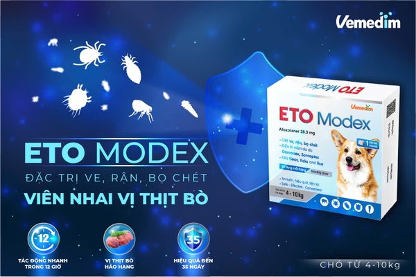 ETO Modex - Diệt ve, rận, bọ chét, điều trị viêm da do Demodex ...