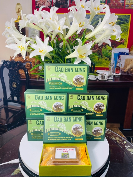 CAO BAN LONG tốt cho xương khớp và sức khoẻ | nhunghuouvietvn