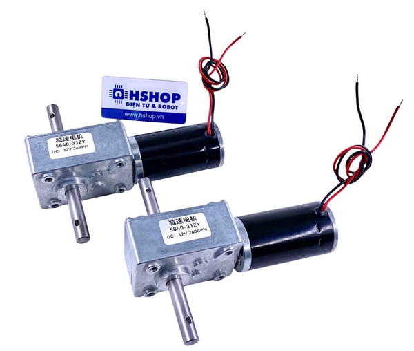 Động cơ DC giảm tốc 5840-31ZY High Torque Self-Lock DC Geared Motor