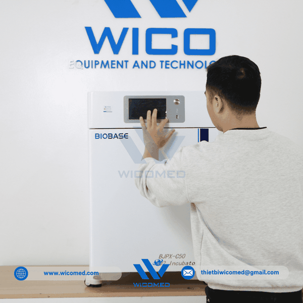Tủ Ấm CO2 50 Lít Biobase BJPX-C50 | WICOMED - Thiết Bị Y Tế Toàn Diện