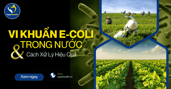 Vi Khuẩn E-Coli Trong Nước Và 3 Cách Xử Lý Hiệu Quả