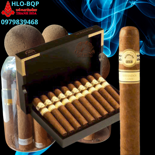 Các Loại Xì Gà/Cigar Ngon Nhất – Mua Cigar Việt Chính Hãng Tại CigarVN | Cigarvn