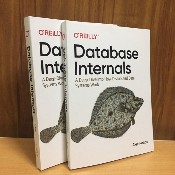 Database Internals: A Deep Dive into How Distributed Data Systems Work