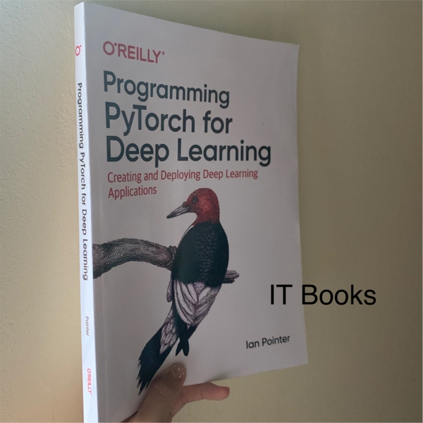Programming PyTorch for Deep Learning