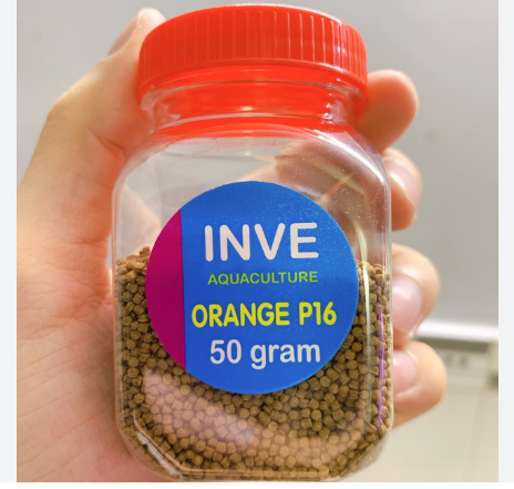 Cám Thái INVE Orange Nurse P16 (Hạt 1.6mm)