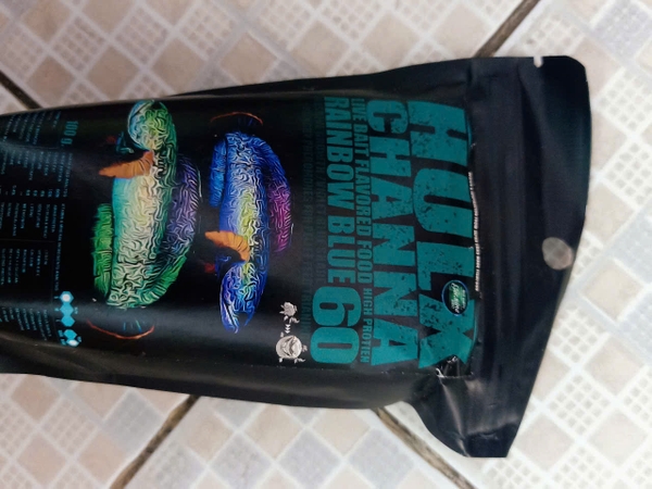 [Chính hãng] 🐟 CÁM CÁ HULX MONSTER CHANA 3 MÀU Cao cấp cho cá Lóc, chana
