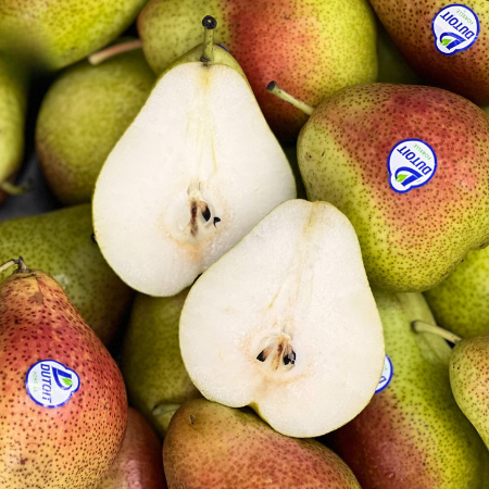 Lê Nam Phi | phuhoafresh.com