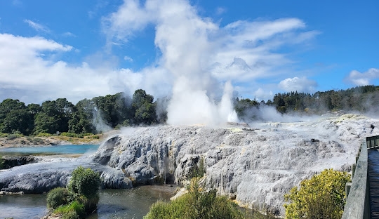 Khám phá Auckland - Waitomo - Taupo - Rotorua