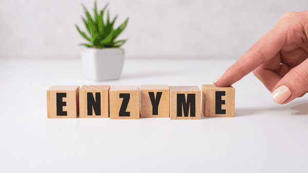 Enzyme: Món Quà Của Thượng Đế Đối Với Sức Khỏe Con Người