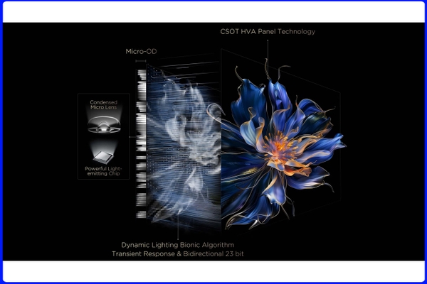 Micro-OD và thuật toán Bionic Dynamic Lighting