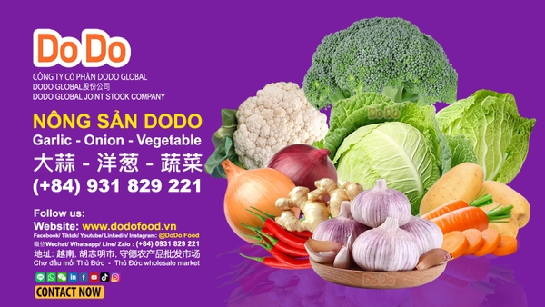 中国出口蔬菜到越南 - China exports vegetable to Vietnam | DODO FOOD