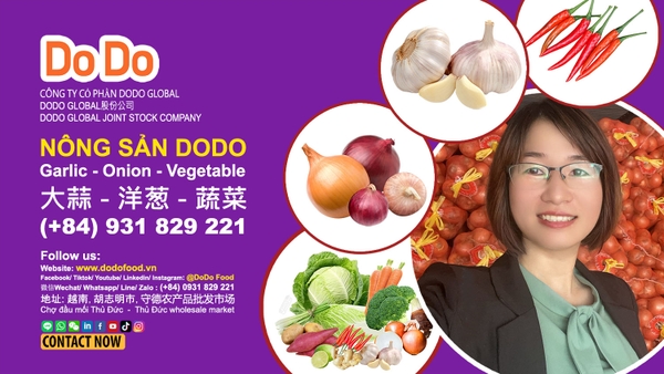 ABOUT DODO FOOD