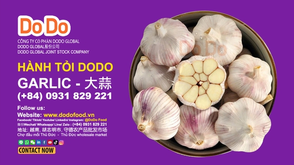 Chinese Garlic Season and Global Impact | DODO FOOD