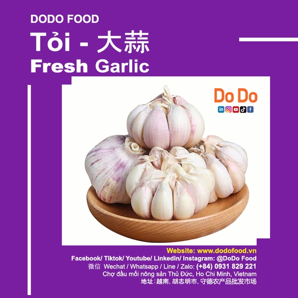 China Garlic: Global Giant in Agriculture | DODO FOOD