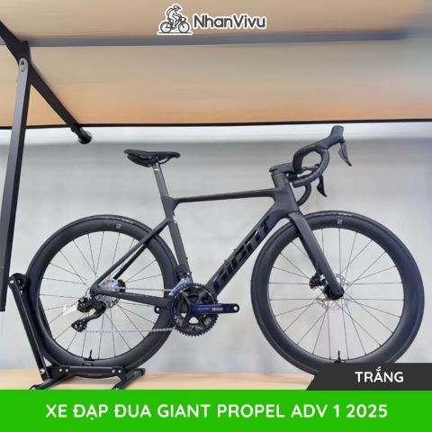 XE ĐẠP ĐUA - ROAD | Nhà phân phối xe đạp thể thao Dngbike.com