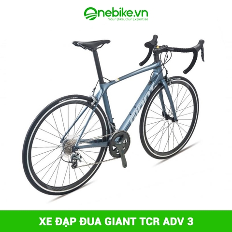 XE ĐẠP ĐUA - ROAD | DneBike.com