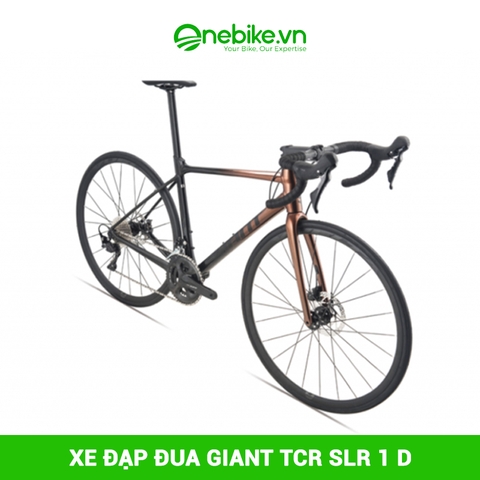XE ĐẠP ĐUA - ROAD | DneBike.com