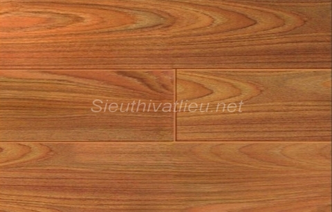 Sàn gỗ Robina 12mm T11