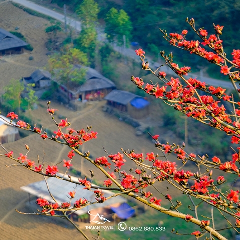Tour Hà Giang mùa hoa gạo 3N2Đ - Hà Giang, Cao nguyên đá Đồng Văn ...