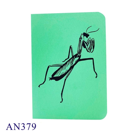 Praying Mantis Pop Up Card