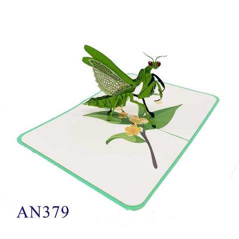 Praying Mantis Pop Up Card