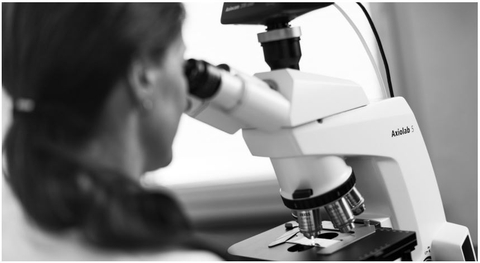 Kính Hiển Vi Axiolab 5