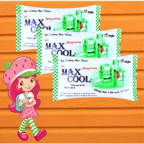 Công Ty TNHH MAX COOL