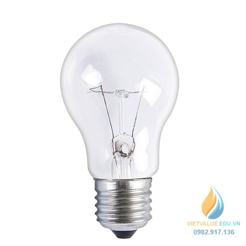 Bóng đèn sợi đốt 200W VIETVALUE