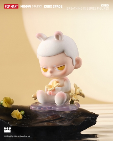 BLIND BOX : Hộp mù ngẫu nhiên | Toyist Zone