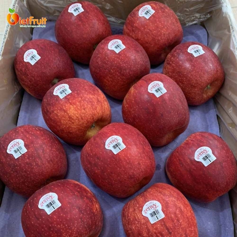 VietFruit | Trái cây hàng ngày - Quà biếu cao sang