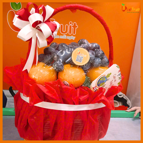 VietFruit | Trái cây hàng ngày - Quà biếu cao sang