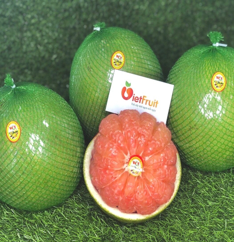 VietFruit | Trái cây hàng ngày - Quà biếu cao sang