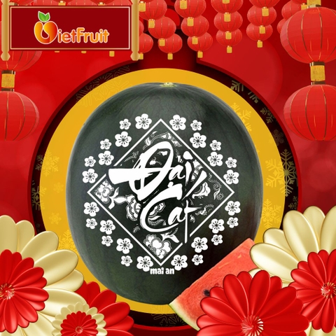 VietFruit | Trái cây hàng ngày - Quà biếu cao sang