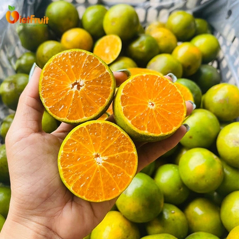 VietFruit | Trái cây hàng ngày - Quà biếu cao sang