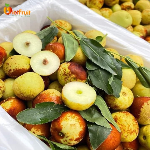 VietFruit | Trái cây hàng ngày - Quà biếu cao sang