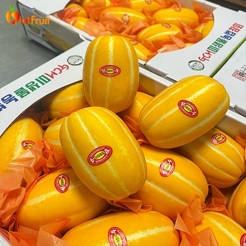 VietFruit | Trái cây hàng ngày - Quà biếu cao sang
